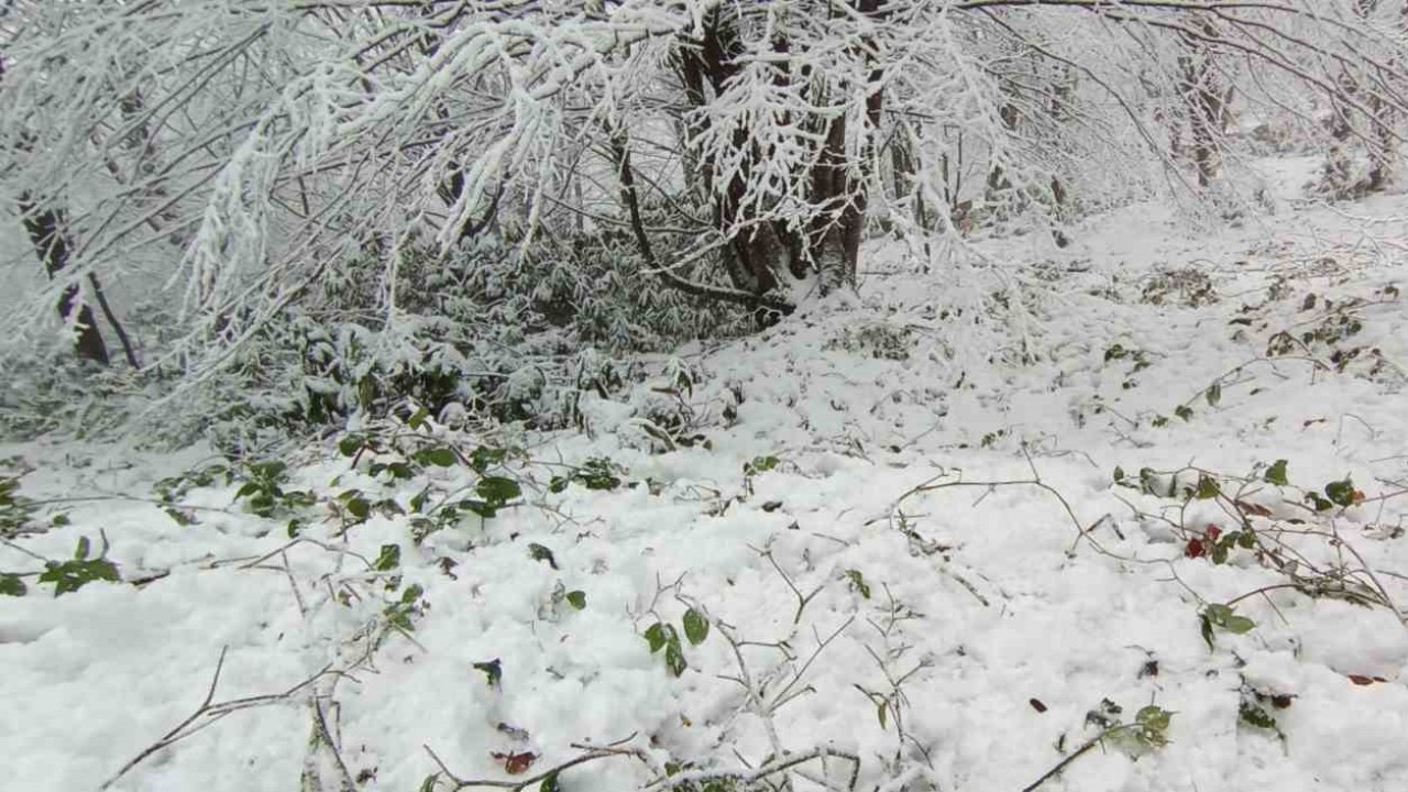 Yüksek Kesimlerde Kar 15 Cm'ye Kadar Çıktı - Metropol Medya